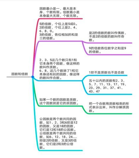 因数与倍数的思维导图 广州学而思1对1